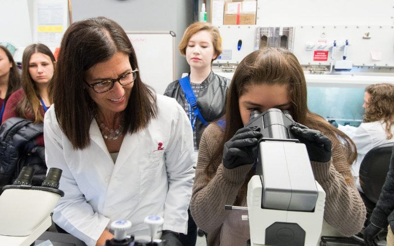 Scholar students learn about careers in science, medicine during St ...