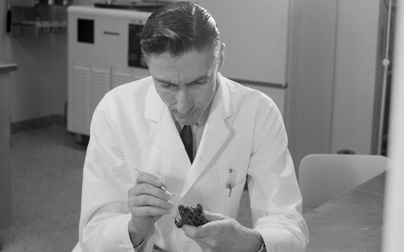 Remembering Allan Granoff, PhD - St. Jude Children’s Research Hospital