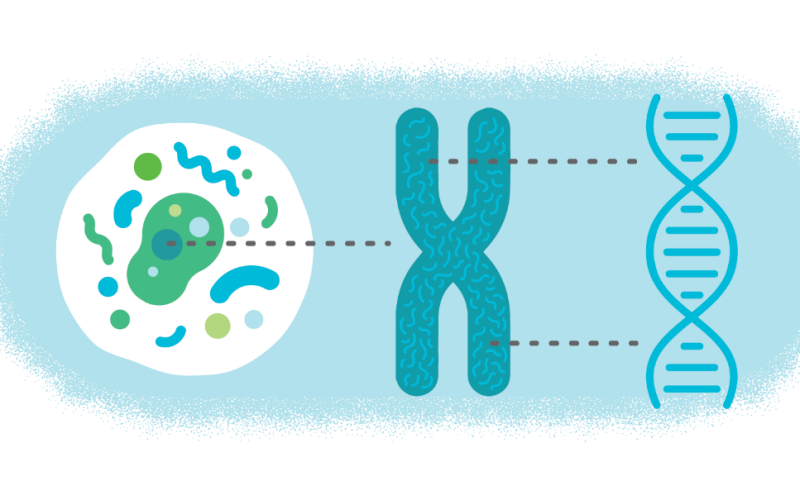 The Pediatric Cancer Genome Project: Era of Discovery - St. Jude ...