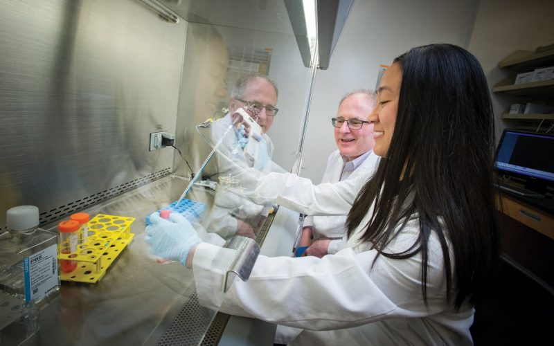 Snip of DNA Spells Hope - St. Jude Children’s Research Hospital