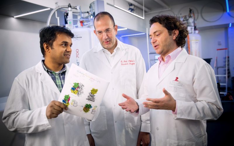 Research Highlights - Promise Winter 2018 - St. Jude Children’s ...