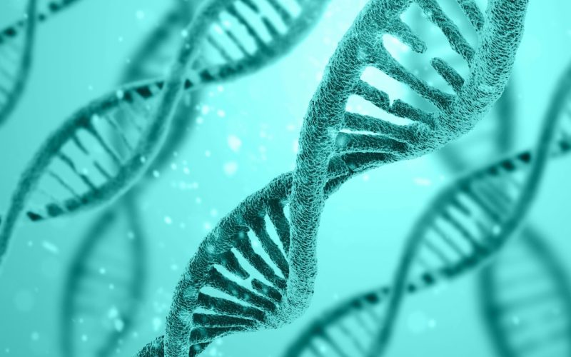 Severe Combined Immunodeficiency (SCID) - St. Jude Children’s Research ...