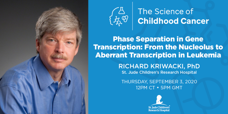 Phase Separation in Gene Transcription: From the Nucleolus to Aberrant ...