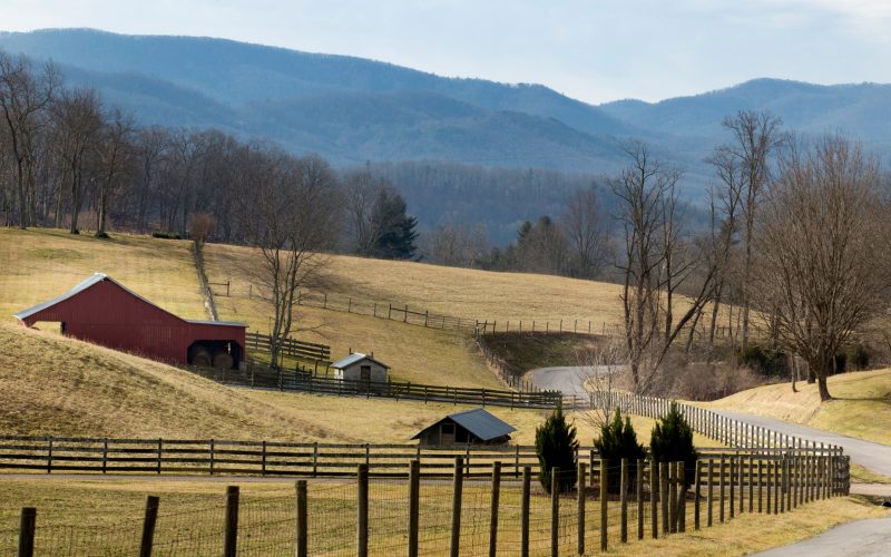 Southwest Virginia: Sweethearts for St. Jude - St. Jude Inspire | St ...