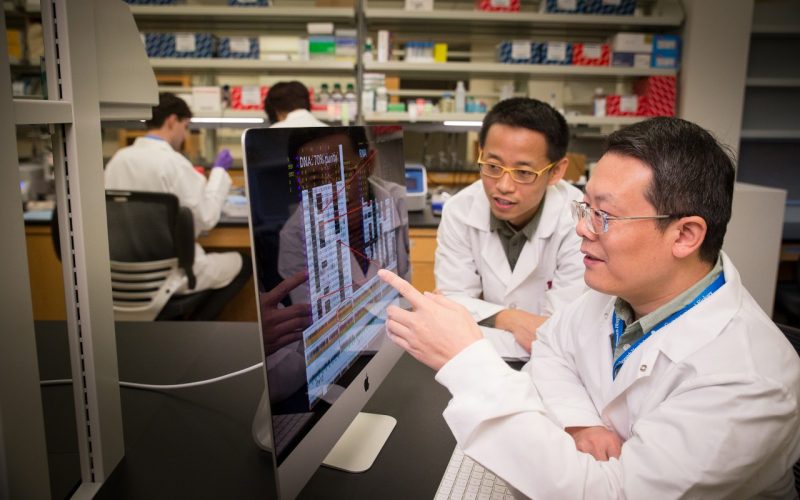 Bioinformatics Jobs - St. Jude Children’s Research Hospital