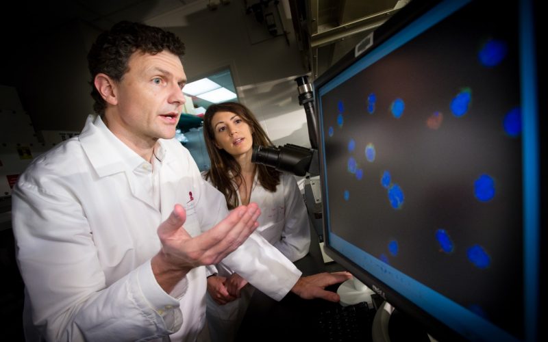 Faculty Jobs - St. Jude Children’s Research Hospital