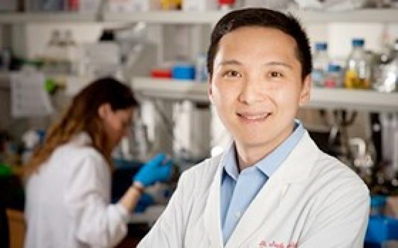 Inherited genetic variations have a major impact on childhood leukemia ...