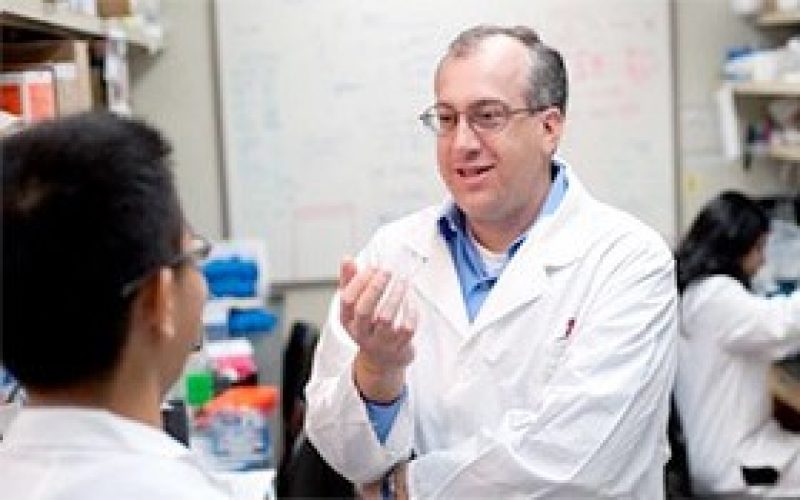 St. Jude Children’s Research Hospital study yields new strategy against ...