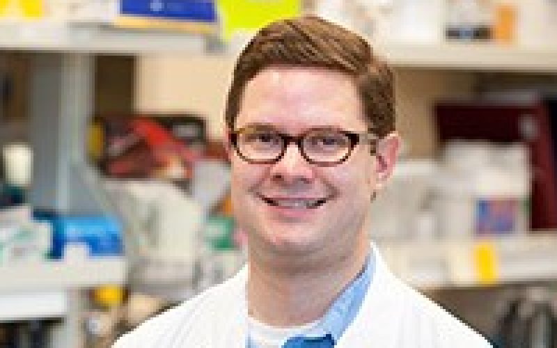 Researchers discover immune signature that predicts poor outcome in ...