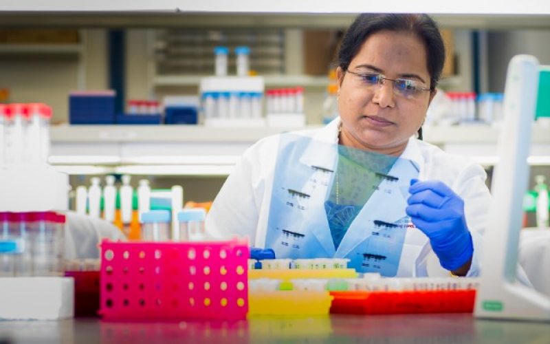 Discovery promises new treatments to thwart colon cancer - St. Jude ...