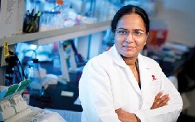 St. Jude Children’s Research Hospital scientist honored for ...
