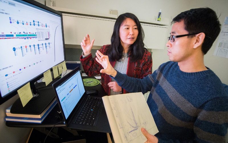 St. Jude researchers develop powerful interactive tool to mine data ...