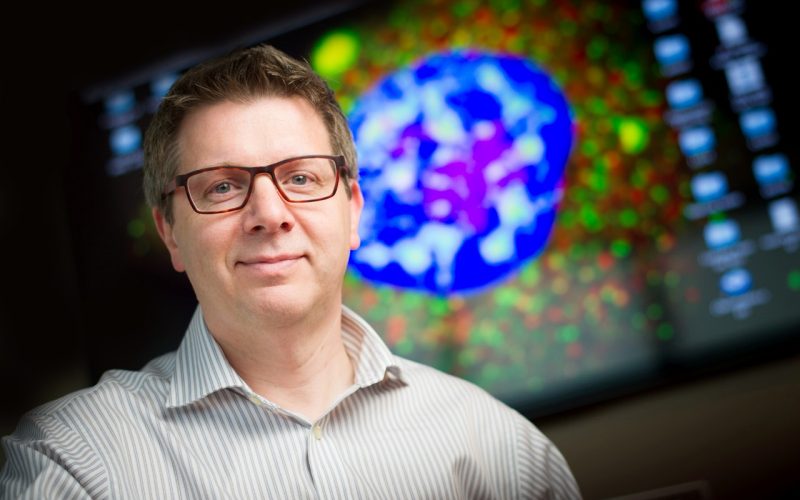 St. Jude scientist named Howard Hughes Medical Institute investigator ...