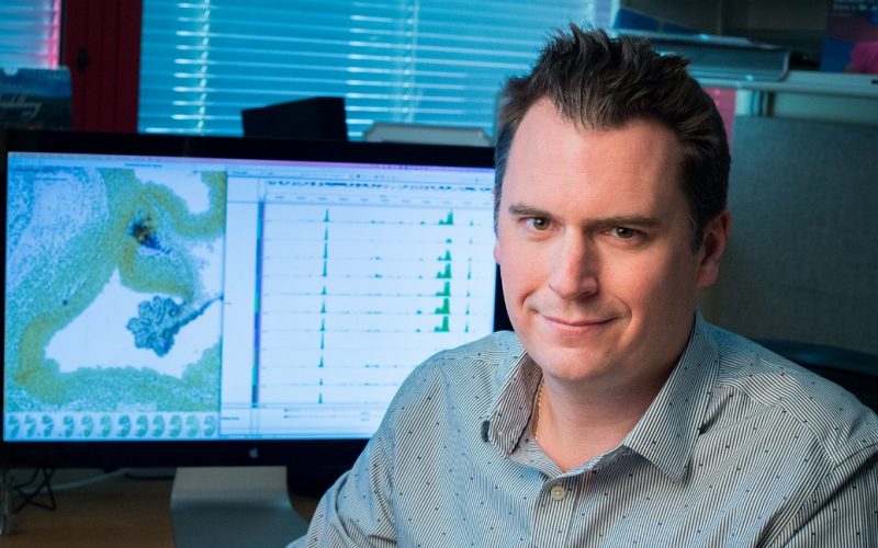 Researchers mine the epigenome to identify likely origins of childhood ...