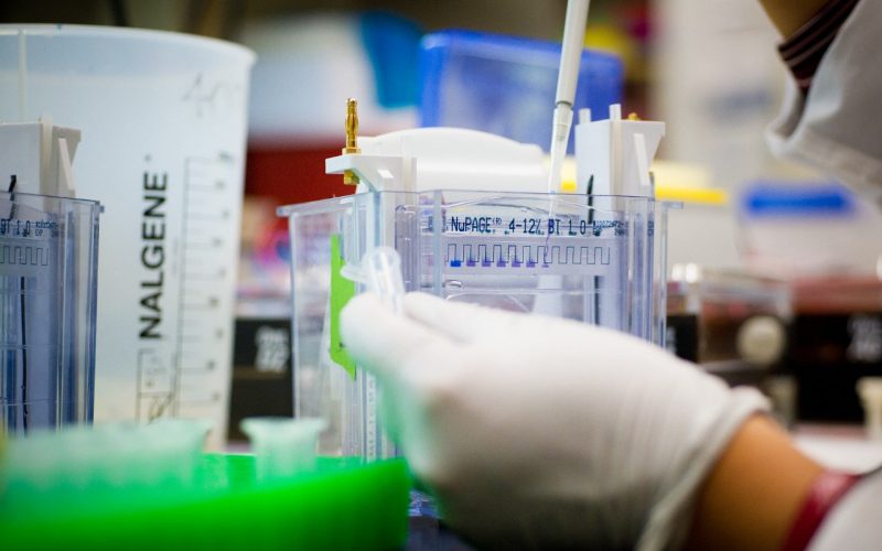 St. Jude becomes first children’s hospital in U.S. to earn CAP ISO15189 ...