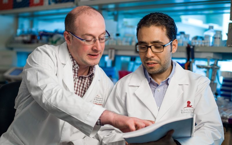 Memory T cells responsible for long-term immunity have been cross ...