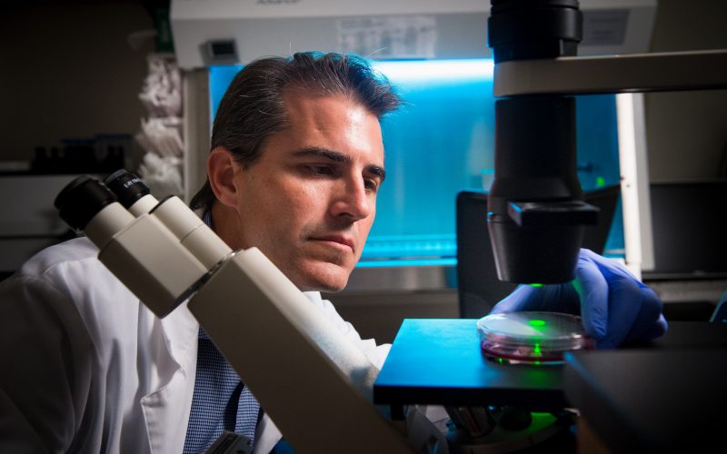 St. Jude maps genome organization to link retinal development and ...