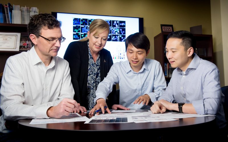 Discovery adds to evidence that some children are predisposed to ...
