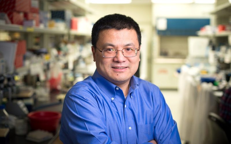 Scientists identify a protein complex that shapes the destiny of T ...