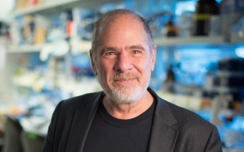 Douglas R. Green receives Yale Graduate School’s Wilbur Lucius Cross ...