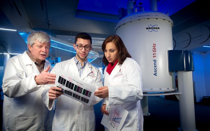 Research reveals how the most common ALS mutation dooms cells - St ...