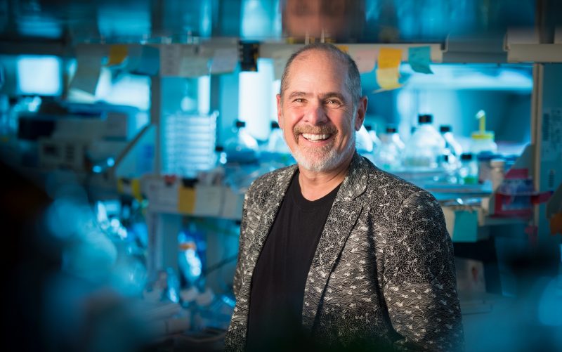 Douglas R. Green, Ph.D., of St. Jude elected to the National Academy of ...