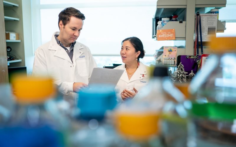 Bringing protein structures in from the cold - St. Jude Children’s ...