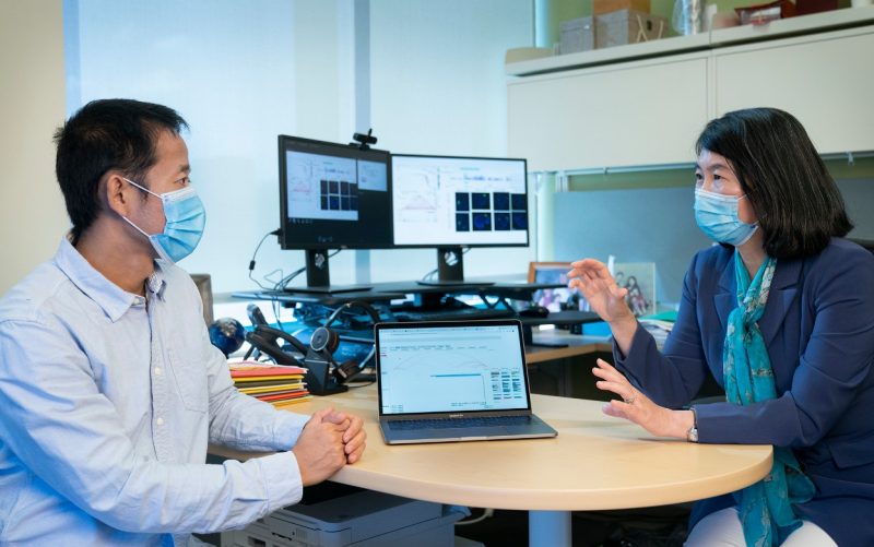 Researchers develop tool to ‘paint’ cancer genome and reveal tumor ...