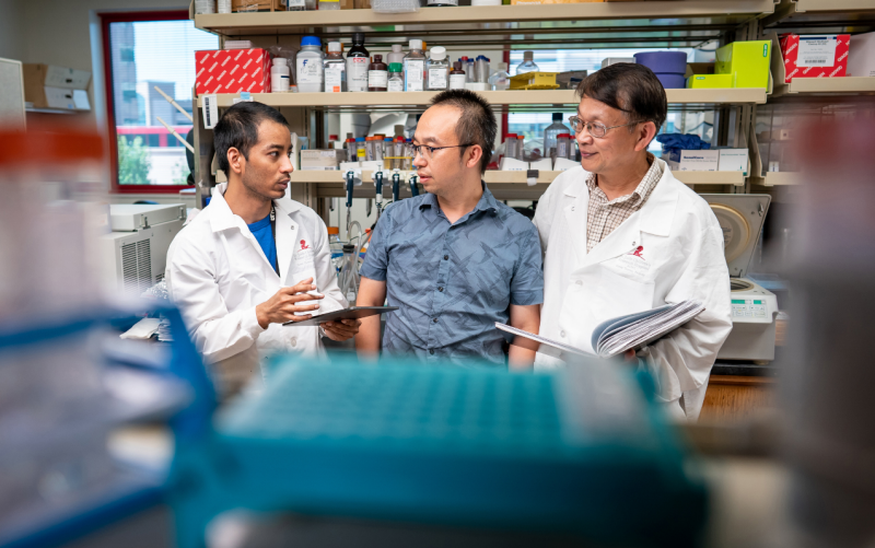 St. Jude finds a new way to identify ‘safe harbor’ for gene therapies ...