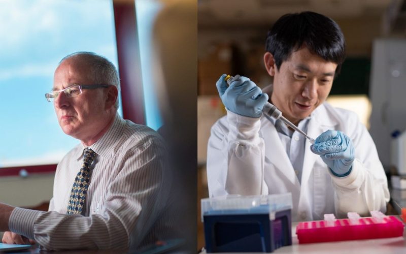 A link between hypoxia and fetal hemoglobin provides hope for sickle ...