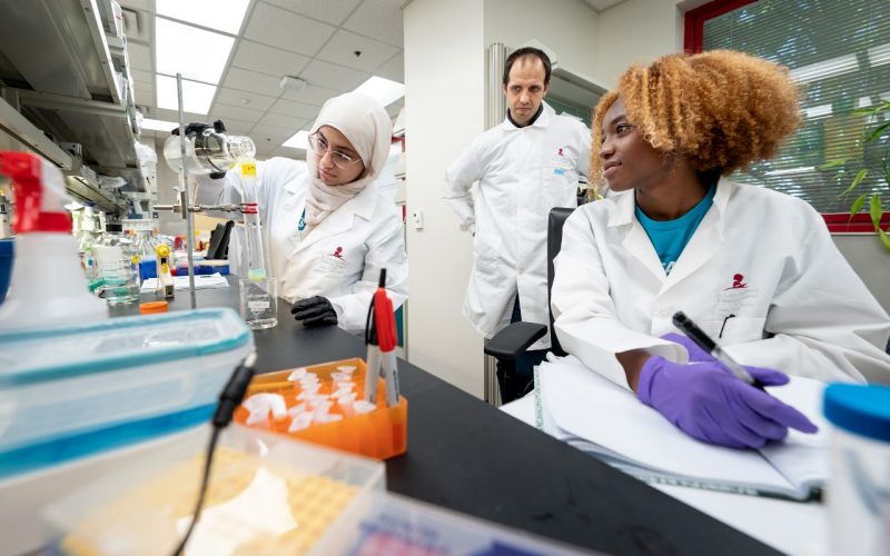 STEMM immersion program to shape the next generation of scientists - St ...