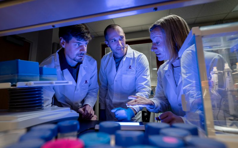 Higher-order SPOP assembly reveals a basis for cancer mutant ...