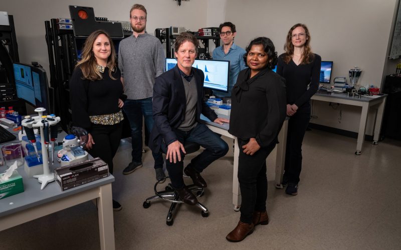 Humans vs. Bacteria: Differences in Ribosome Decoding Revealed - St ...