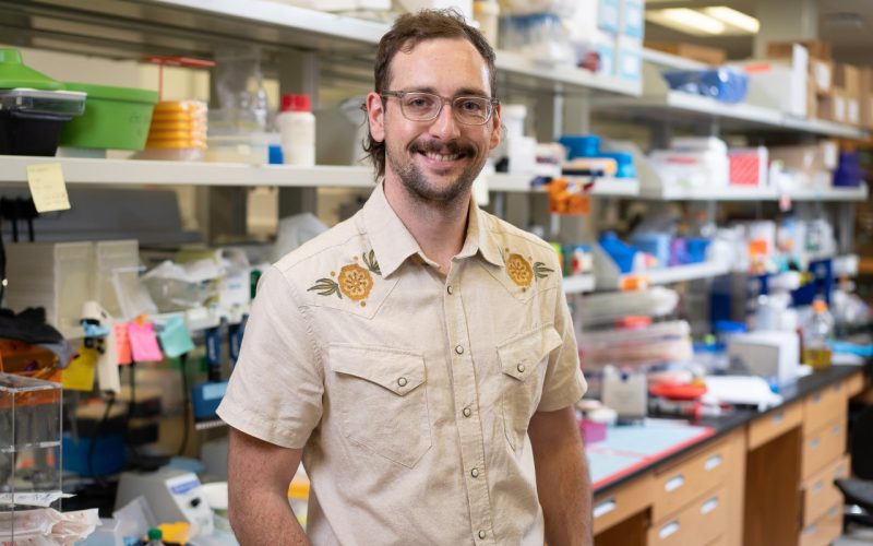 Modular chimeric cytokine receptors improve CAR T–cell therapy for ...