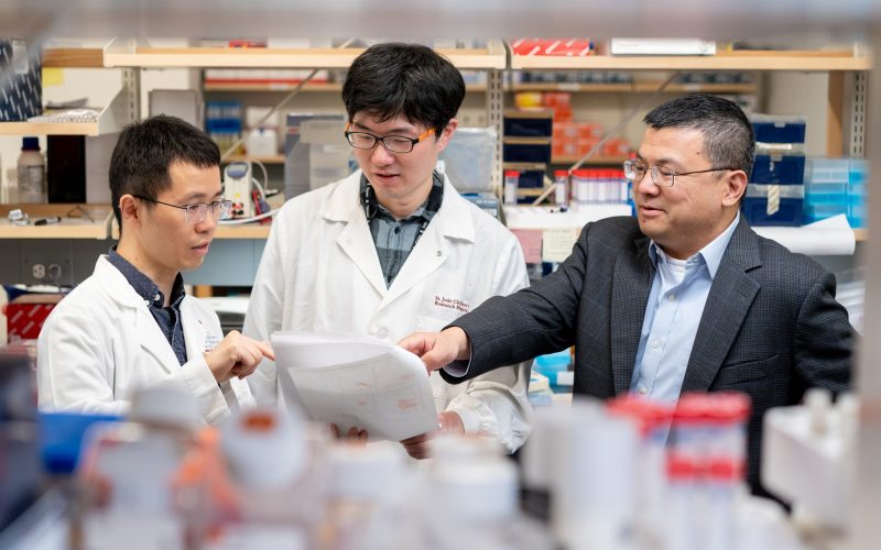 St. Jude scientists identify T-cell differentiation nodes to improve ...