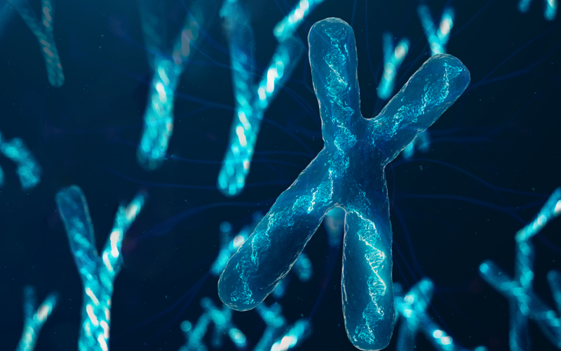 St. Jude refines definition and hones treatment of hyperdiploid ...