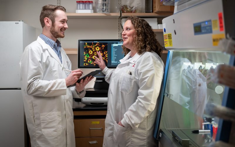Role in mitochondrial metabolism paints more complete picture of MCL-1 ...