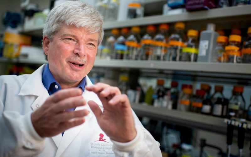 Tumor suppressor forms gel-like assemblies to sacrifice cancer cells ...