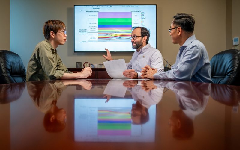 Updated Genomic Landscape For Pediatric Acute Myeloid Leukemia Enables New Treatment