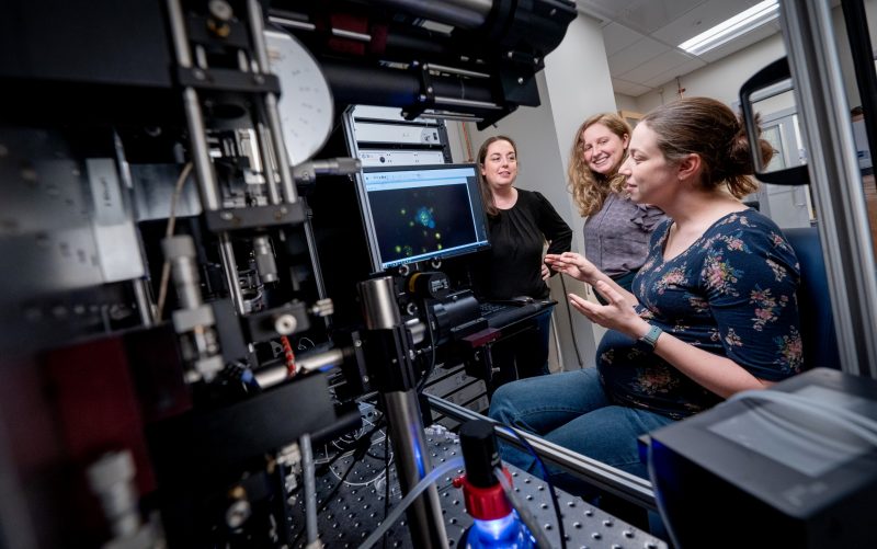 Discovery of ‘pliancy genes’ showcases role of latent epigenetic ...