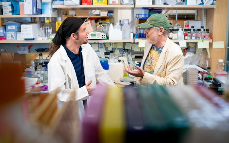 Lipids drive activation of the cellular degradation system LC3 ...