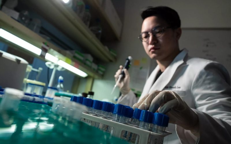 Research reveals structural mechanism behind anti-epilepsy therapies ...