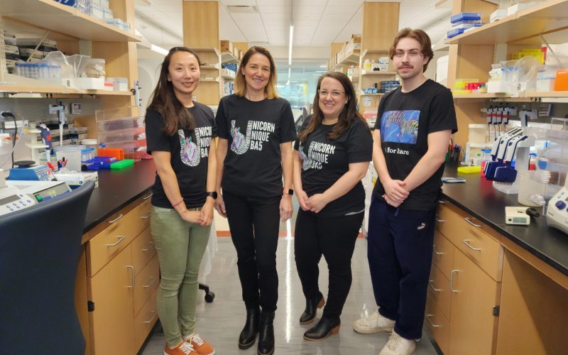 Unique model of rare epileptic disease helps pinpoint potential ...