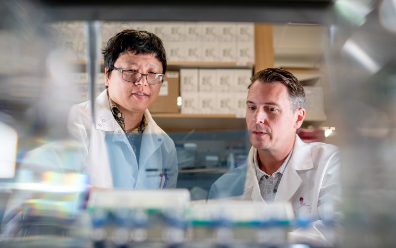 ZIC1 gene drives distinct medulloblastoma types in different ways - St ...